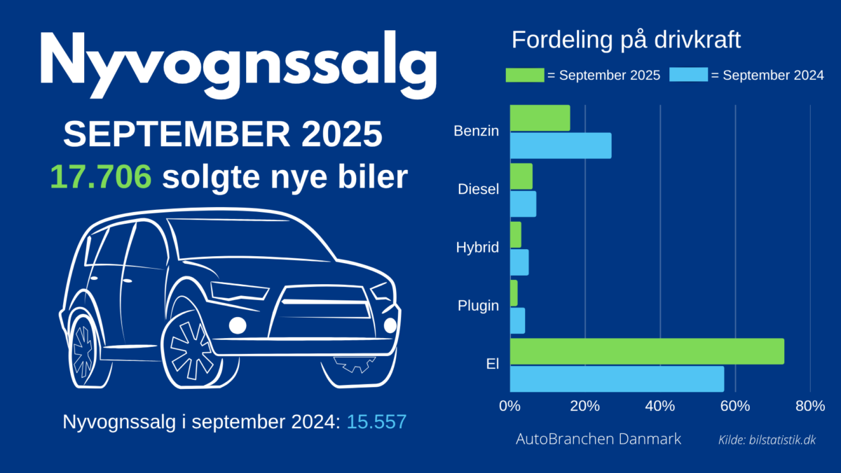 Danskernes biler - statistik og analyser